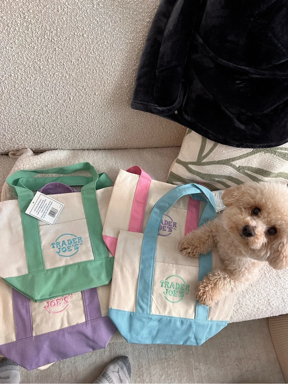Trader Joe'S | Bags | Trader Joes Mini Tote Bags Set Of 4 Pastel Colors ...